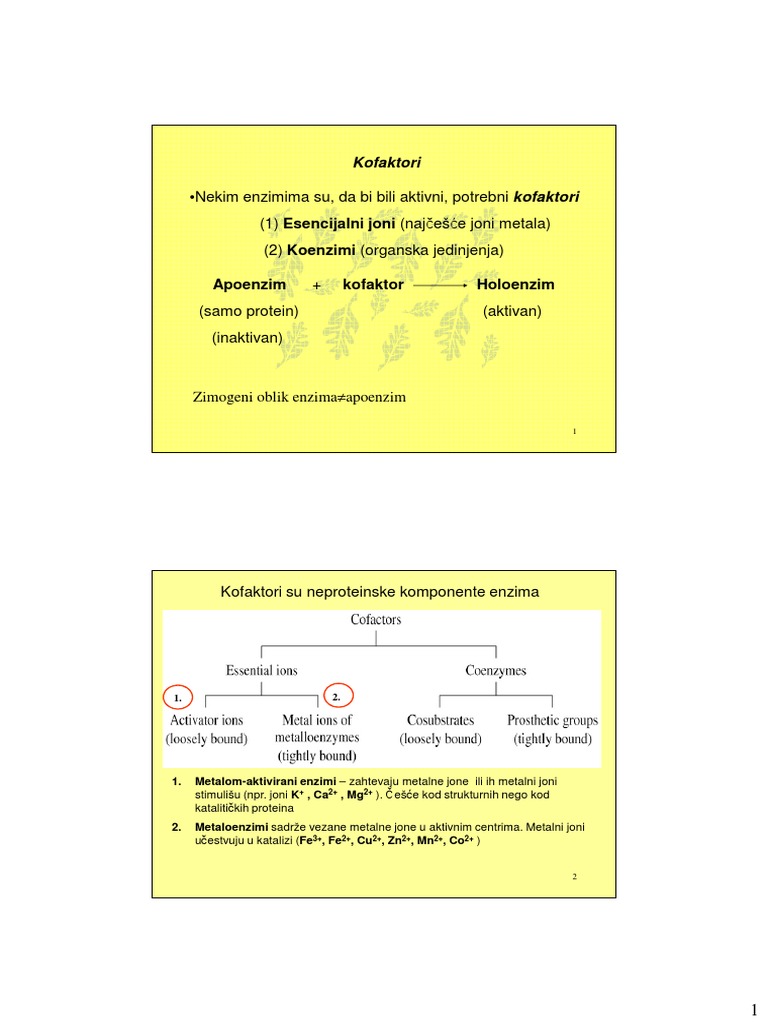 Predavanje - Koenzimi PDF | PDF