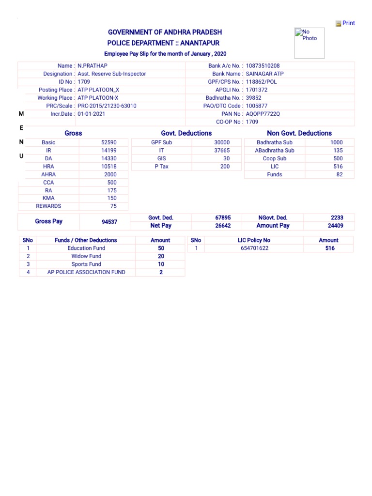 Personal Information System PDF | PDF | Government Finances | Taxation