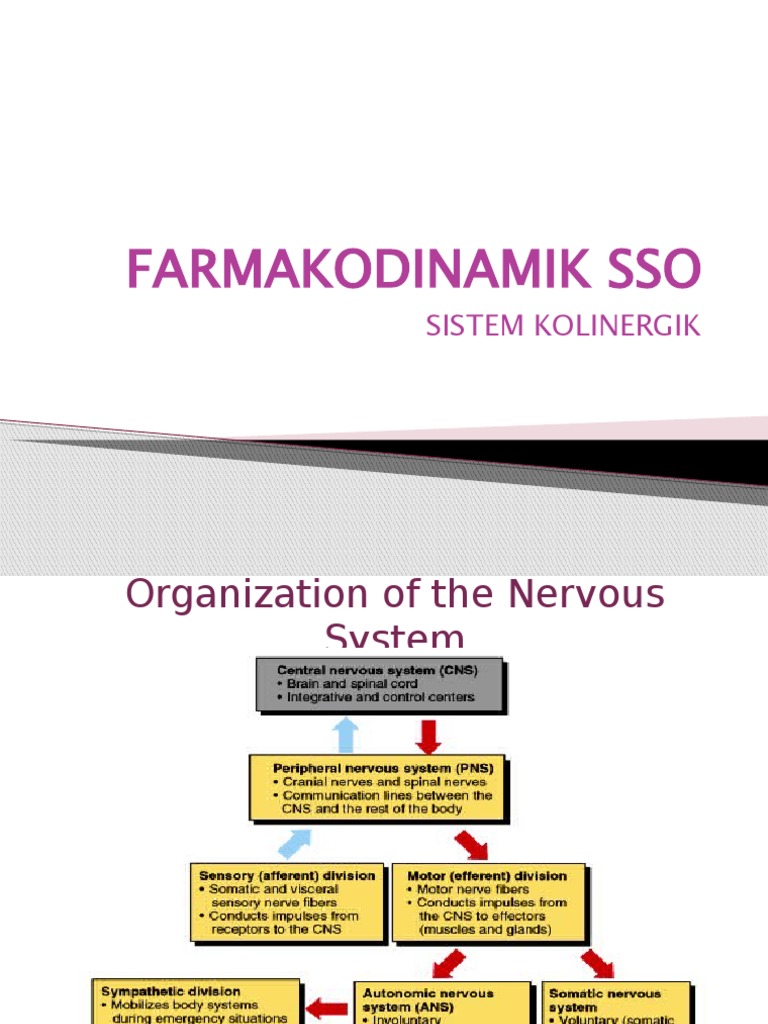 Farmakodinamik Kolinergik dan Obatnya | PDF