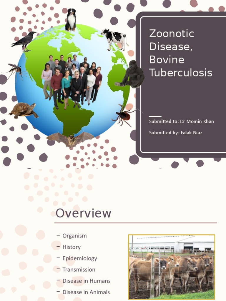 Zoonotic Disease, Bovine Tuberculosis: Submitted To: DR Momin Khan ...