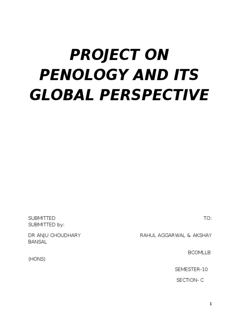 Project On Penology and Its Global Perspective | PDF | Punishments ...