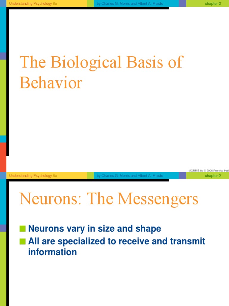 The Biological Basis of Behavior: An Overview of Key Concepts in ...