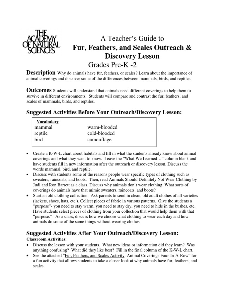 Understanding Animal Coverings for Kids | PDF | Reptile | Mammals