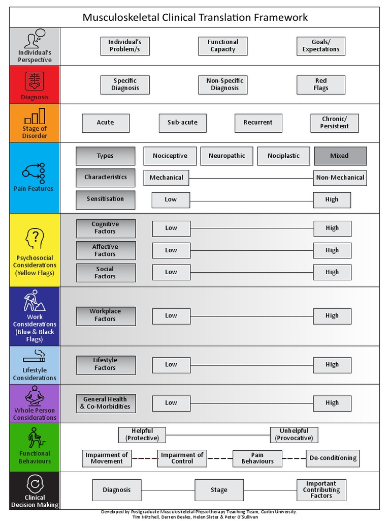 Musculoskeletal Clinical Translation Framework | PDF | Pain | Neuroscience