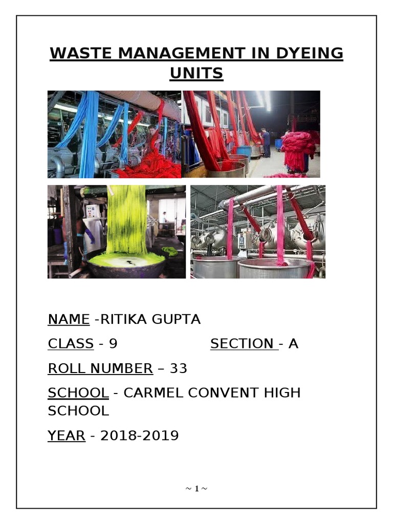 Dyeing Unit Waste Management Challenges | PDF | Dyeing | Dye