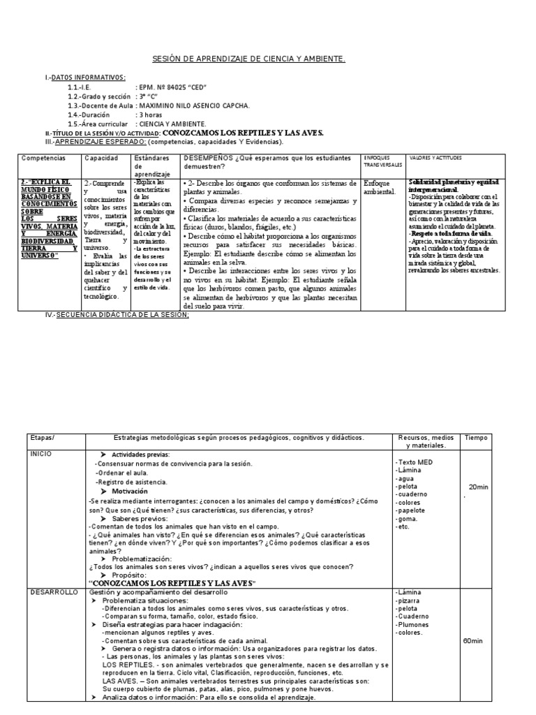 Sesión Reptiles y Aves | PDF | Aves | Vida