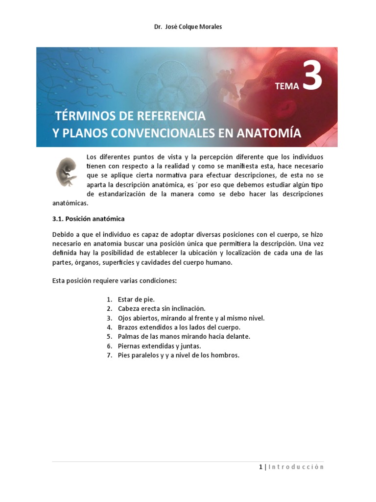 Anatomía: Términos y Planos Básicos | PDF | Términos anatómicos de ...