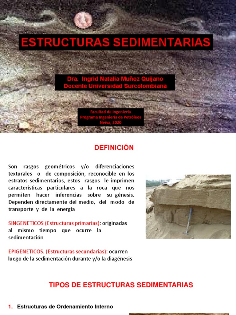 4 Estructuras Sedimentarias | PDF | Fósil | Estrato