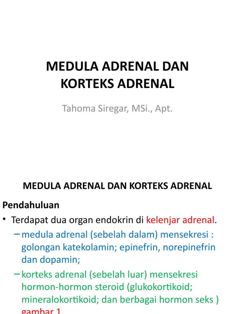 Kuliah 7, MEDULA ADRENAL DAN KORTEKS ADRENAL | PDF