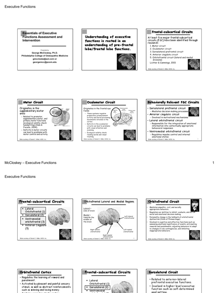 Executive Functioning And Intervention Presentation Executive 6103