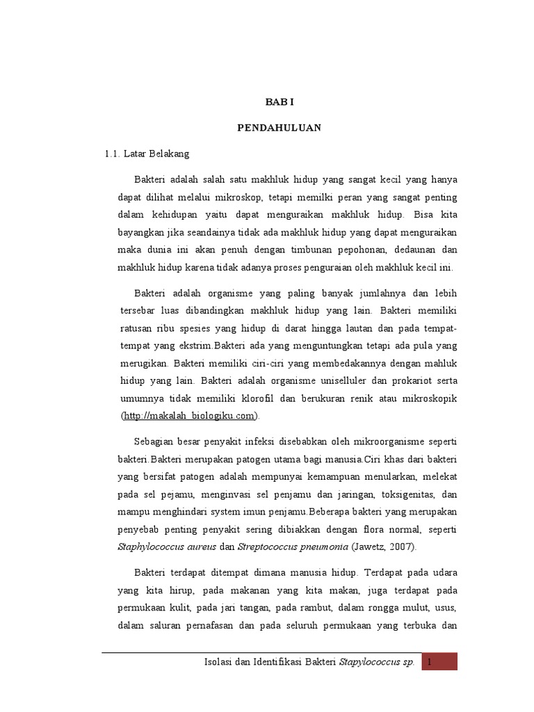 Identifikasi Bakteri Staphylococcus | PDF