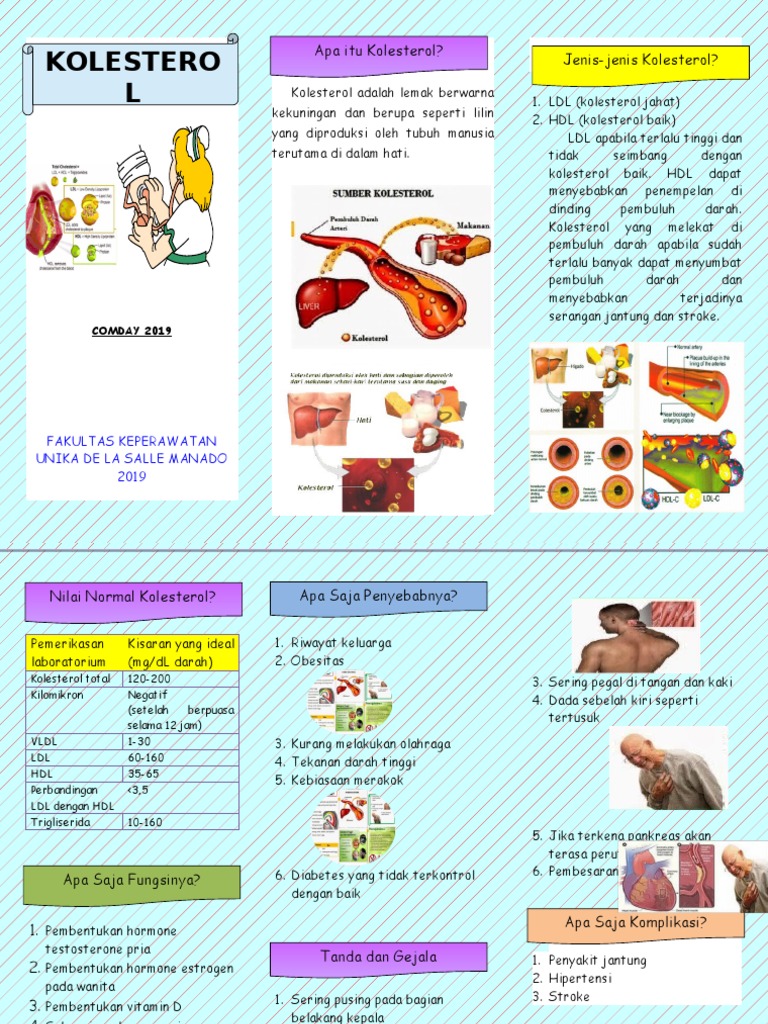 Leaflet Kolestrol | PDF