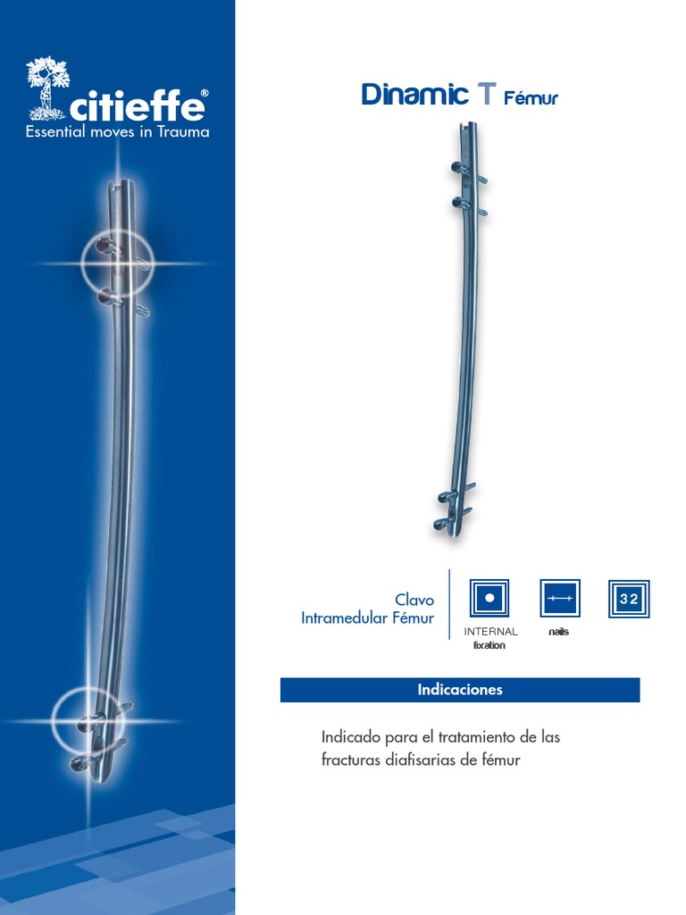 Dinamic T (Femur) | PDF