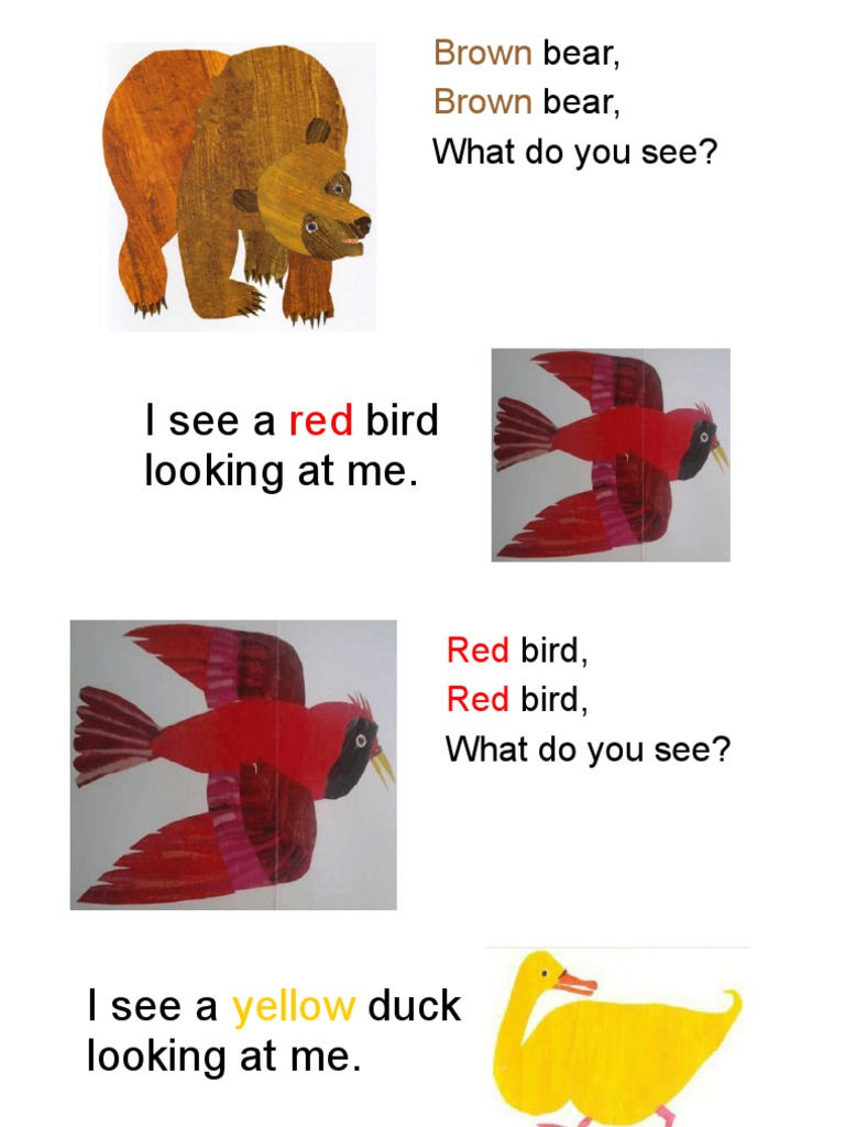Brown Bear and Friends: A Visual Journey | PDF