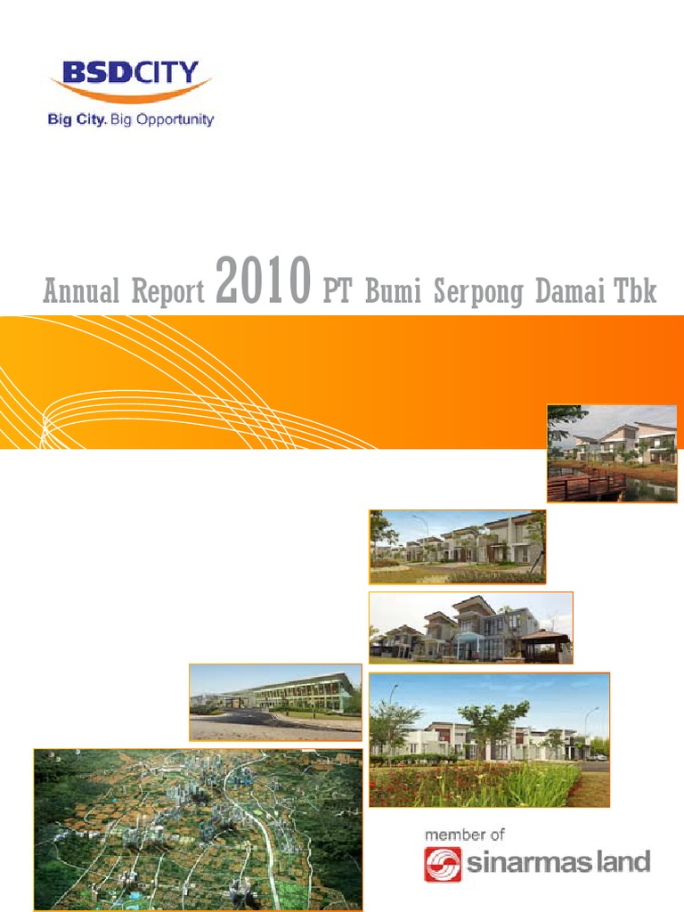 BSDE - Annual Report 2010 PDF | PDF | Equity (Finance) | Corporations