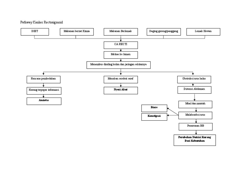 Pathway Rectosigmoid | PDF