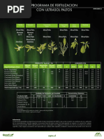 Ficha Técnica Radigrow XL | PDF | Agua | Química