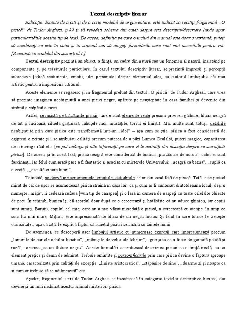 model argumentare text descriptiv
