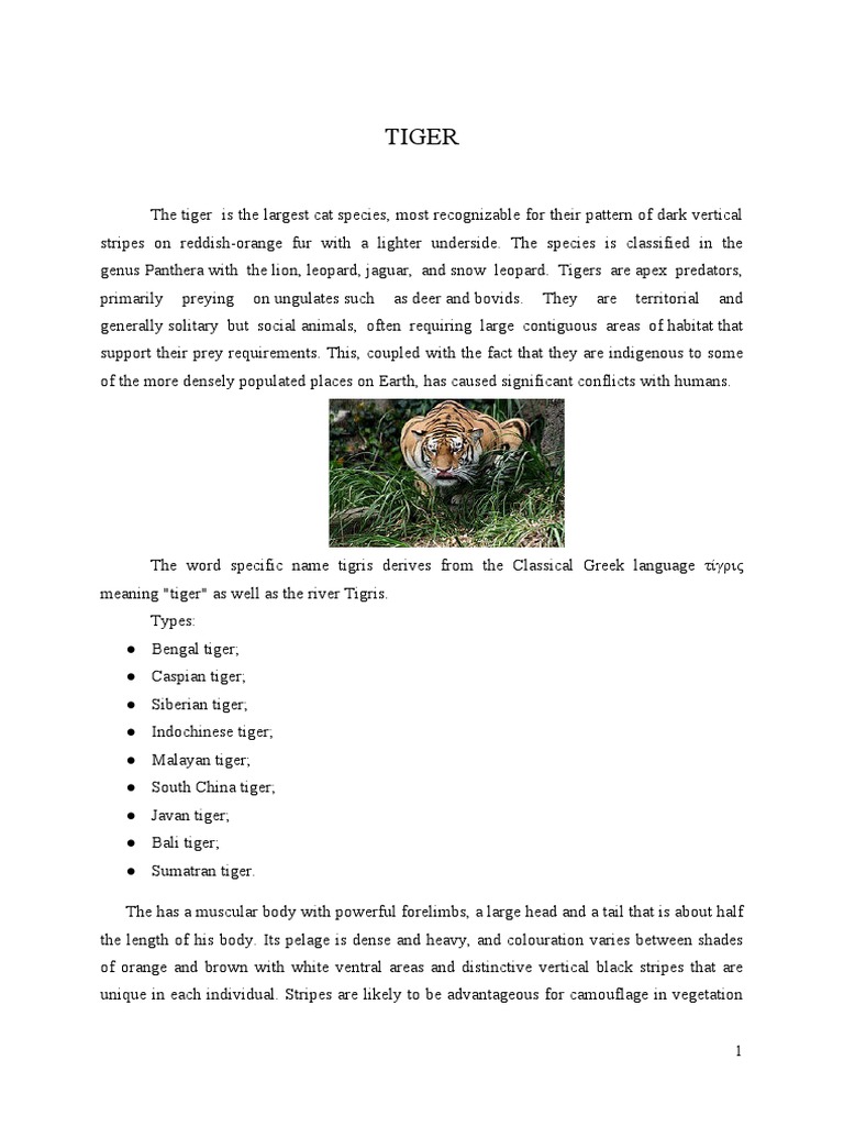Tiger | PDF | Tiger | Felids