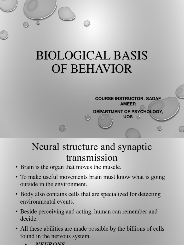 Biological Basis of Behavior | Download Free PDF | Neuron | Brain