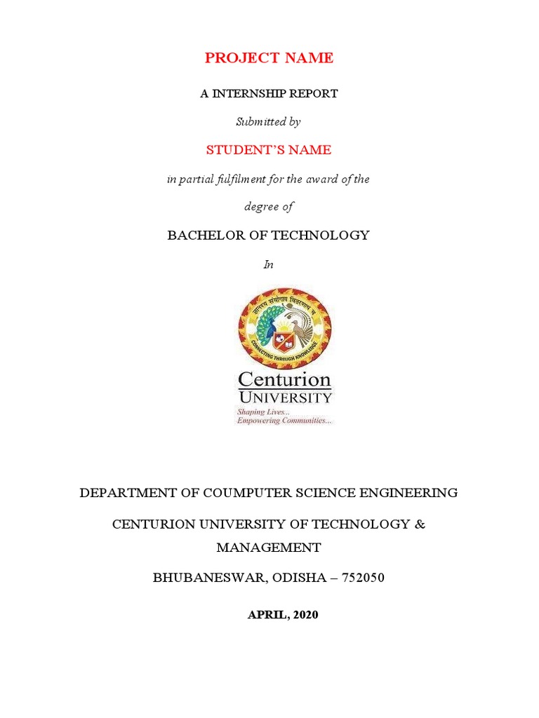 Report Format For Gaming | PDF