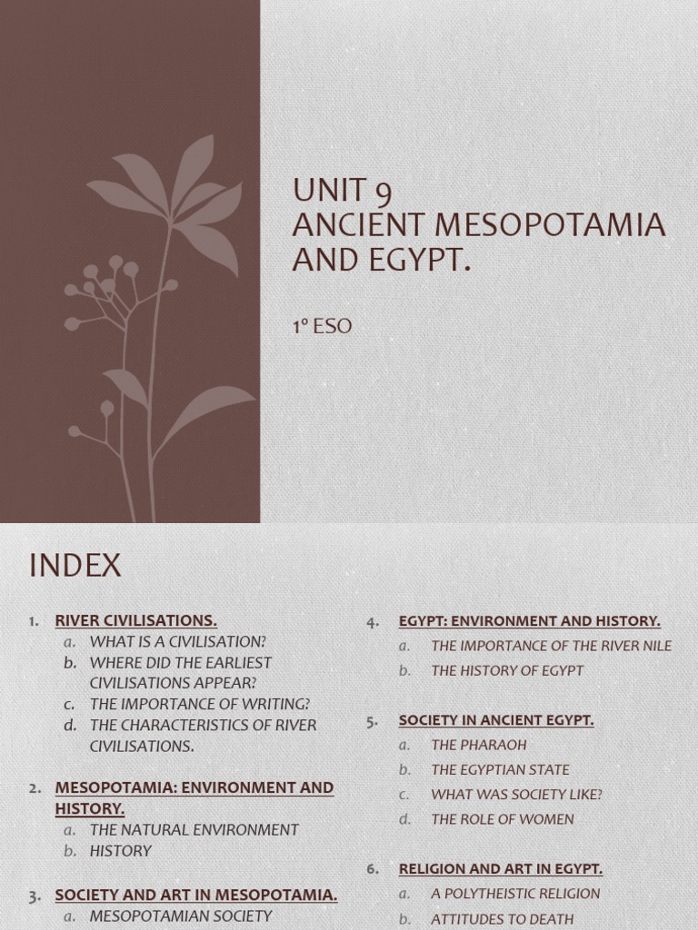 Unit 9 Ancient Mesopotamia and Egypt | PDF | Mesopotamia | Ancient Egypt