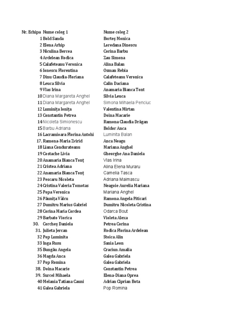 Team Member List and Roles | PDF