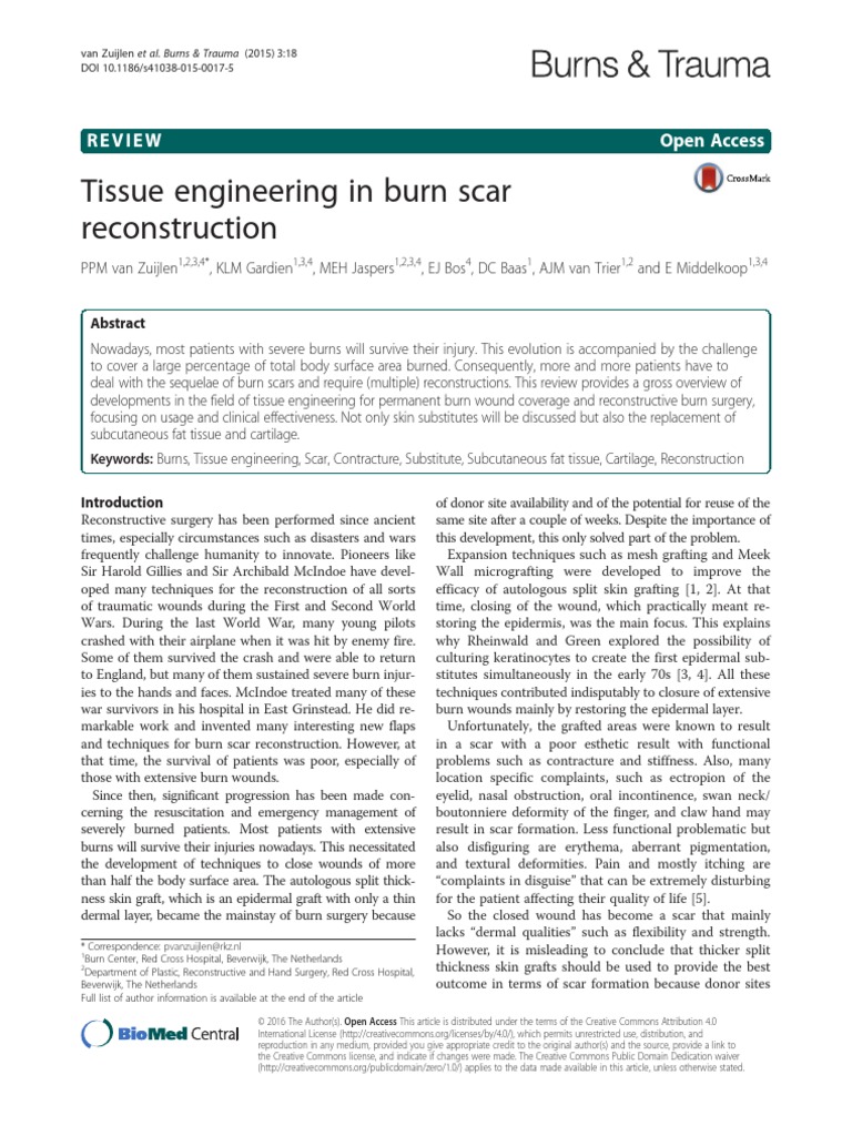 Tissue Engineering in Burn Scar Reconstruction: Review Open Access ...