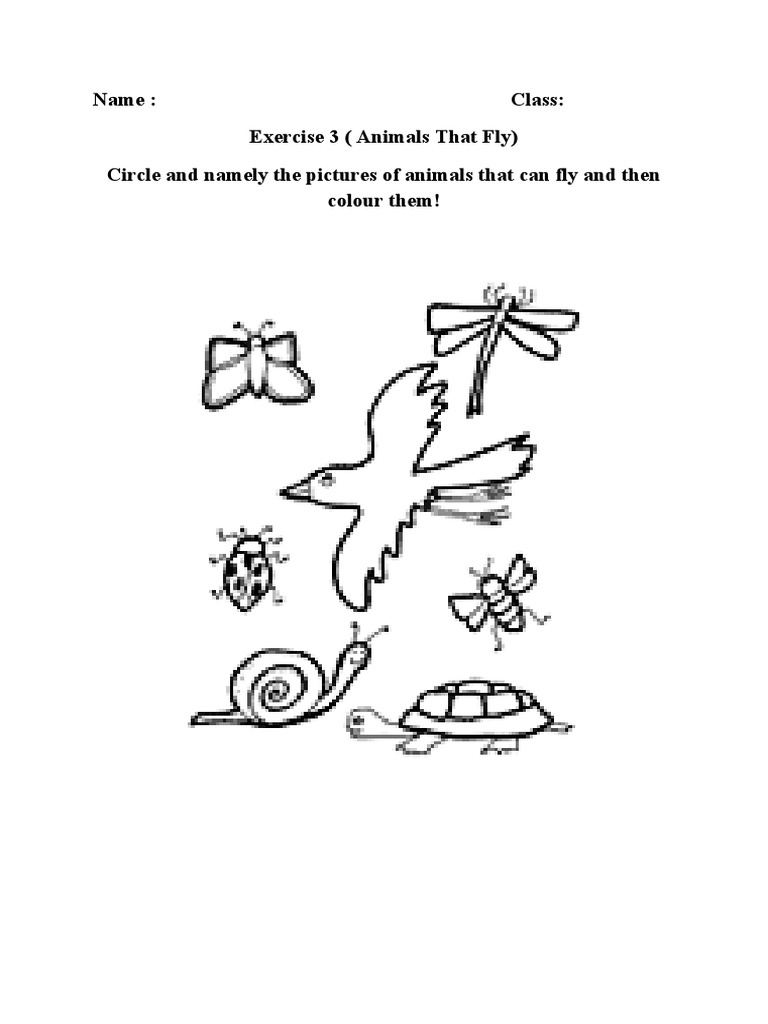 Name: Class: Exercise 3 (Animals That Fly) Circle and Namely The ...