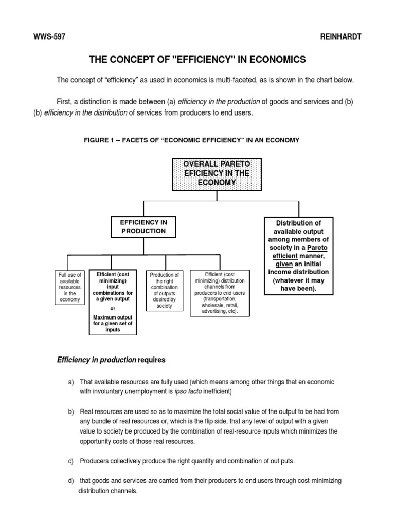 The Concept of "Efficiency" in Economics: WWS-597 Reinhardt | Download ...