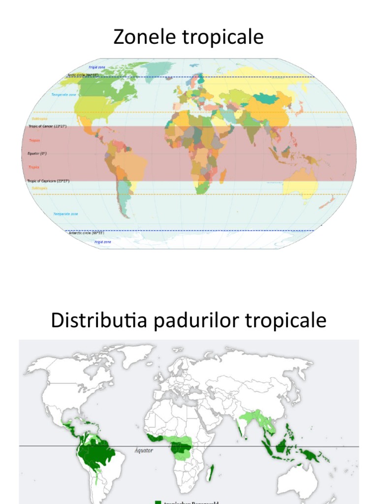 Ecosistemul Padurilor Tropicale | PDF