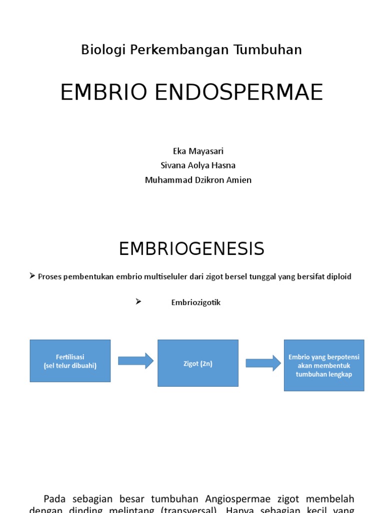 Embrio Tumbuhan Dikotil | PDF