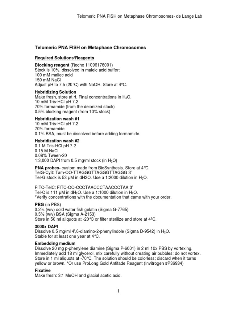 Telomeric PNA FISH On Metaphase Chromosomes: Required Solutions ...