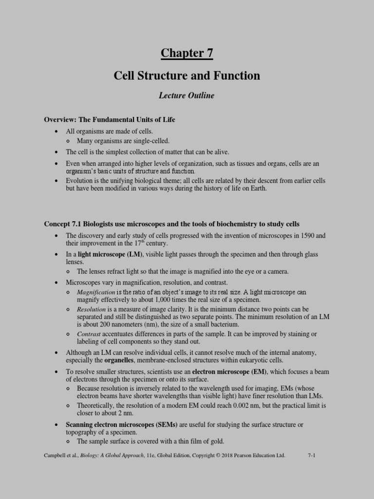 Chapter 7 CELL STRUCTURE AND FUNCTION PDF | PDF | Endoplasmic Reticulum ...