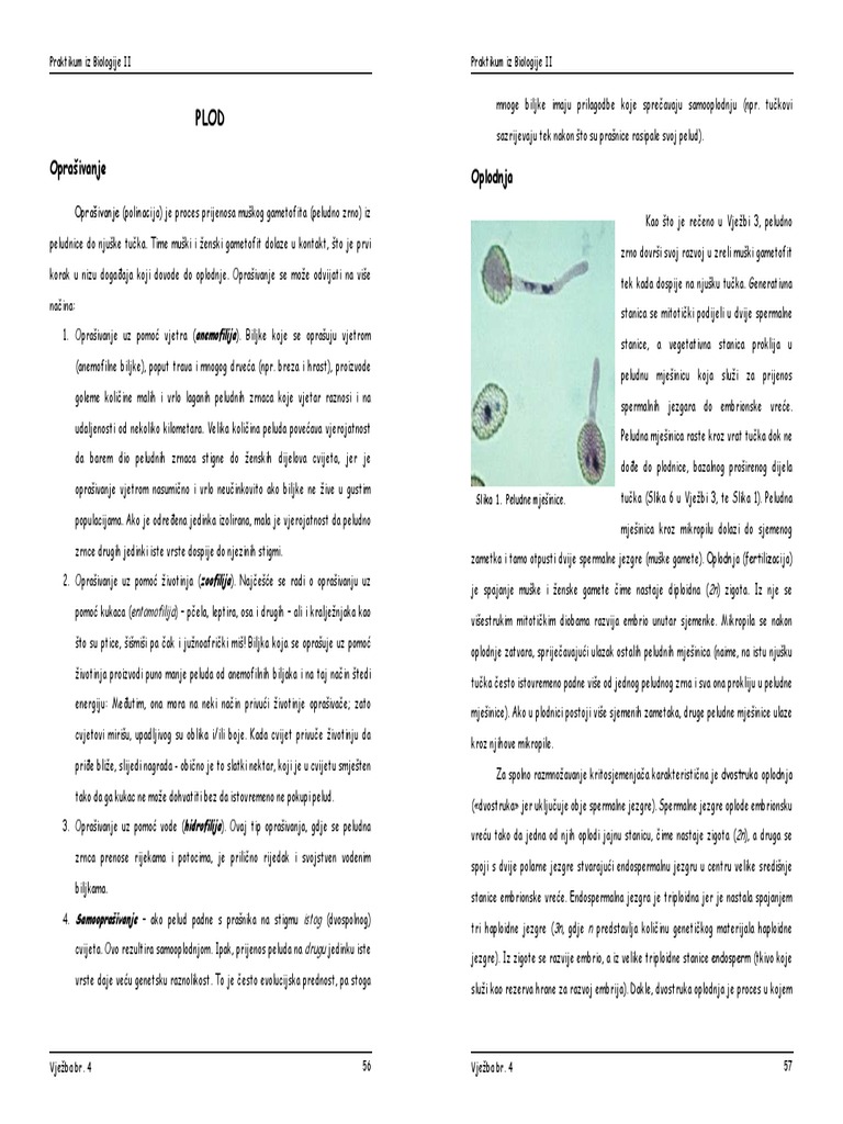 Vjezba 9 - Plod | PDF