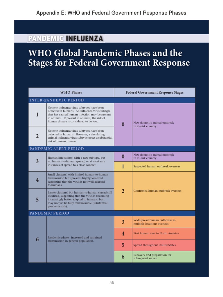WHO Global Pandemic Phases and The Stages For Federal Government ...