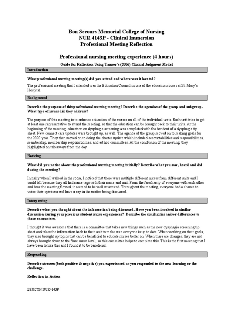 Professional Meeting Reflection | PDF | Evidence Based Medicine | Nursing