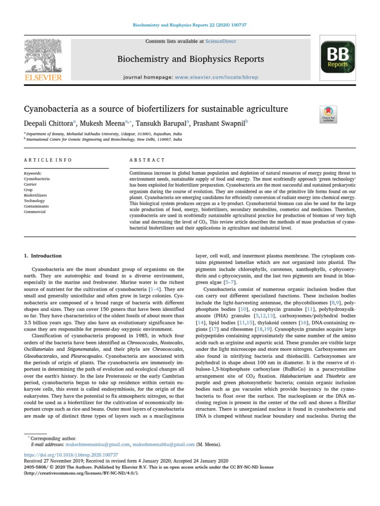 Cyanobacteria As A Source of Biofertilizers For Sustainable Agriculture ...