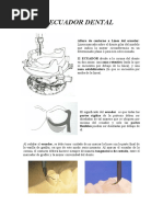 La Línea de Fulcro | PDF | Dentadura postiza | Naturaleza