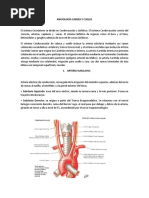 Arco de Riolano | PDF | Tinción | Anatomía