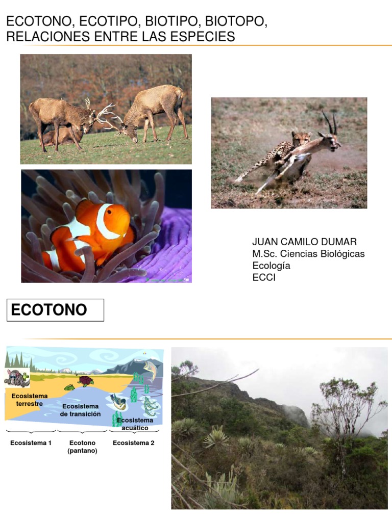 Ecotono Relaciones SP | PDF | Simbiosis | Ecosistema