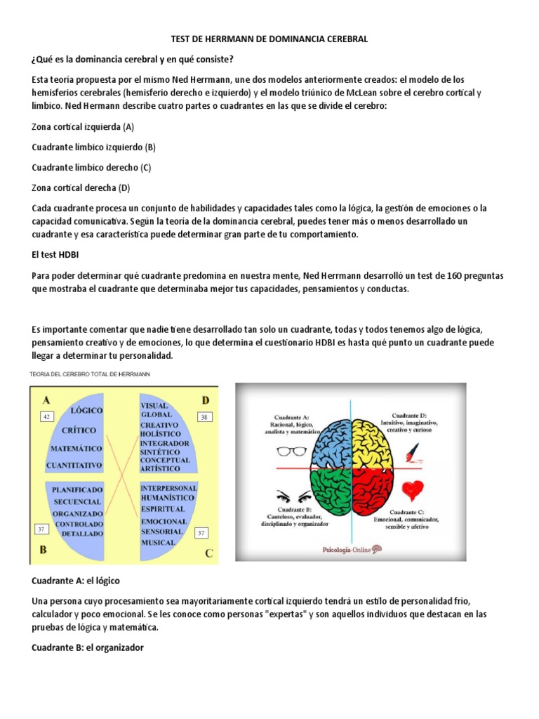 Test de Herrmann de Dominancia Cerebral | PDF | Cerebro | Corteza cerebral