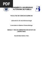 Anatomía y Cuidado de la Rata Wistar | PDF