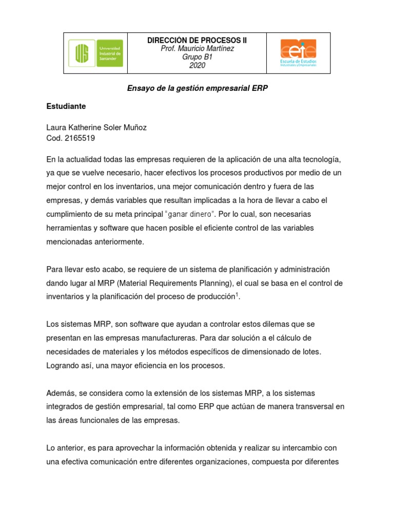 Ensayo ERP | PDF | Planificación de recursos empresariales ...