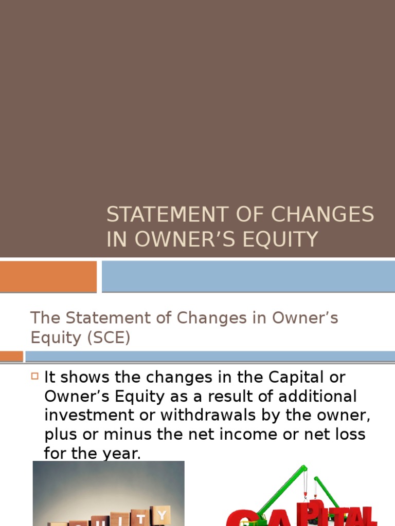 Owner's Equity Changes Explained | PDF