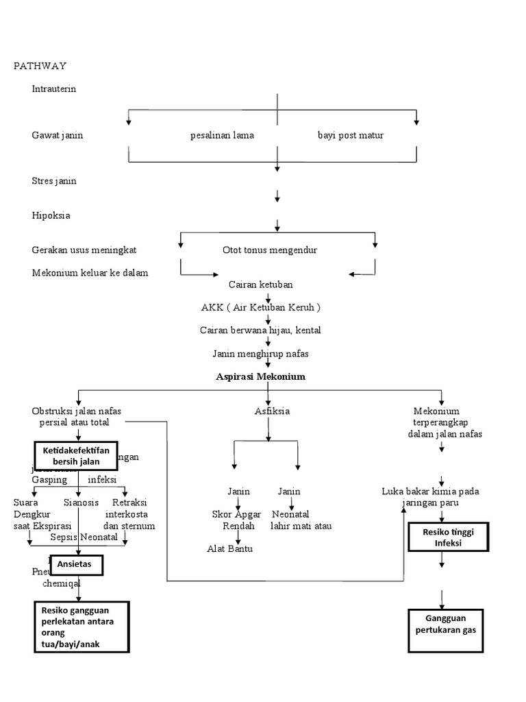 PATHWAY Mekonium Fix | PDF