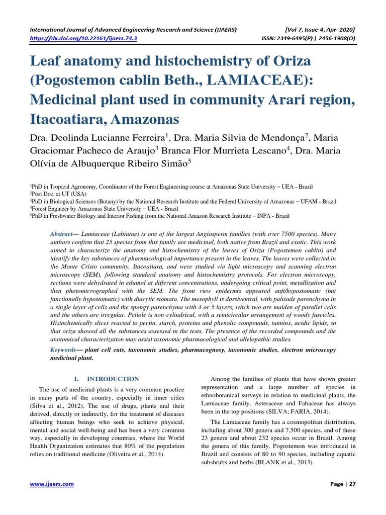 Leaf Anatomy and Histochemistry of Oriza (Pogostemon Cablin Beth ...