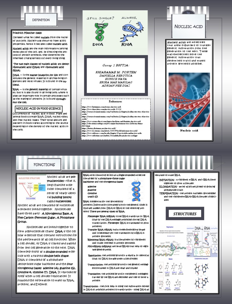 Nuceic Acid Project | PDF | Rna | Nucleic Acids