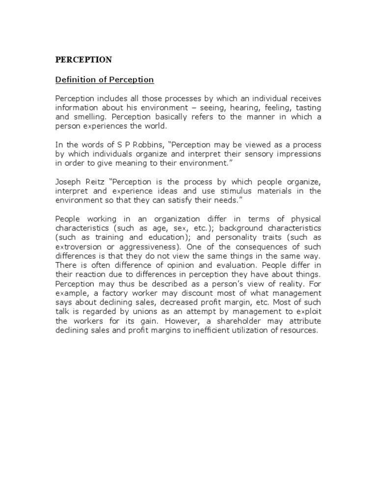 Definition of Perception | PDF