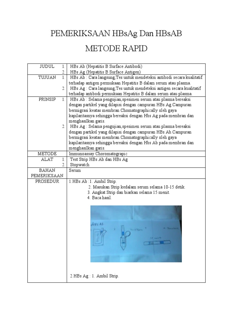 PEMERIKSAAN HBsAg Dan HBsAB | PDF